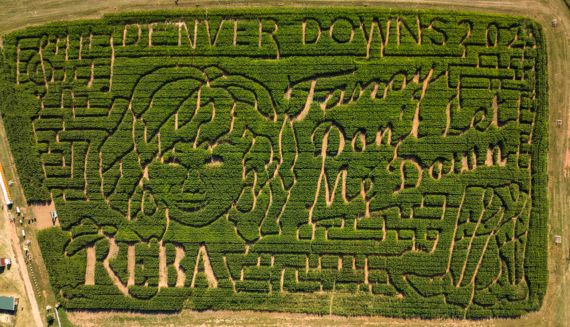 Cool Corn Maze